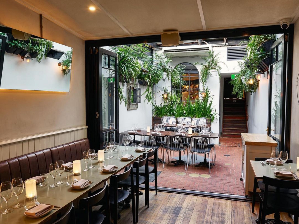 Tequila Mockingbird | Insight Cordless Lighting