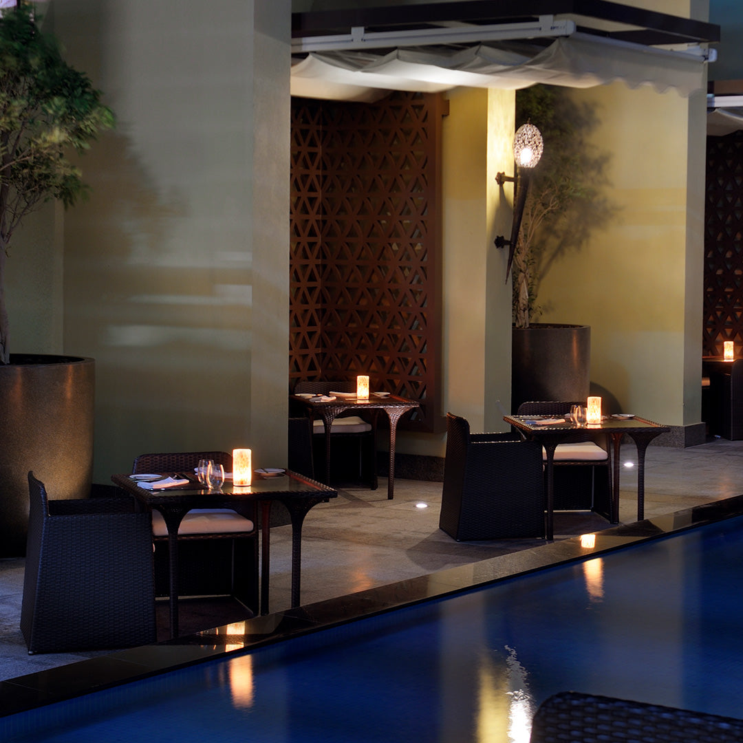 Shell Cordless Table Lamp | Insight Cordless Lighting | Insight ...